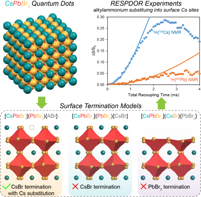 The Surface Termination of CsPbBr3 Perovskite Quantum Dots | Ames Laboratory